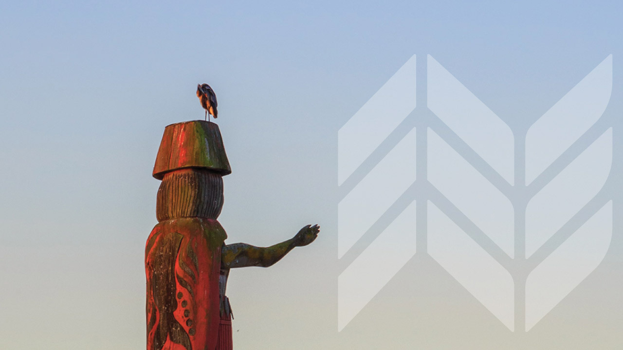 Cedars Us | Nch’ḵaỷ